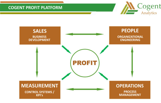 Discovery Process | Cogent Analytics
